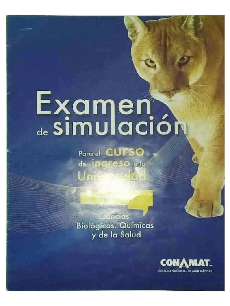 Exámen de Simulación CONAMAT - Área 2 | PDF