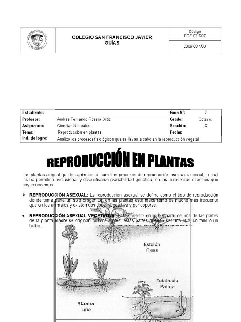Reproduccion en Plantas Guia 7 | PDF