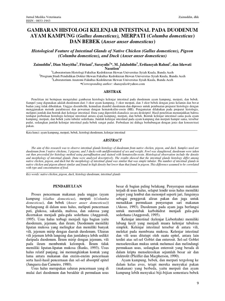 Duodenum Digestia | PDF