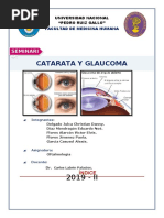 Anatomía de la cápsula de Tenon | PDF | Ojo | Anatomía de los primates