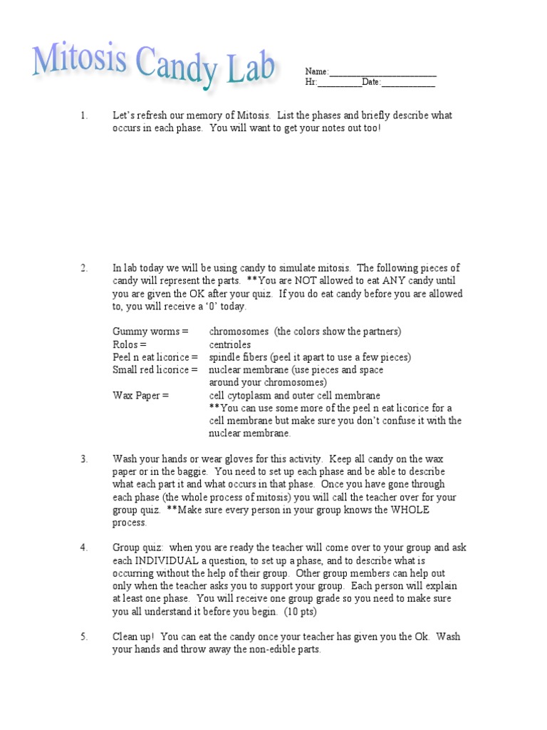 Mitosis Candy Lab PDF | PDF