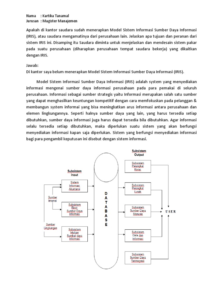Model Sistem Informasi IRIS dalam SDM | PDF | Komputer | Teknologi ...