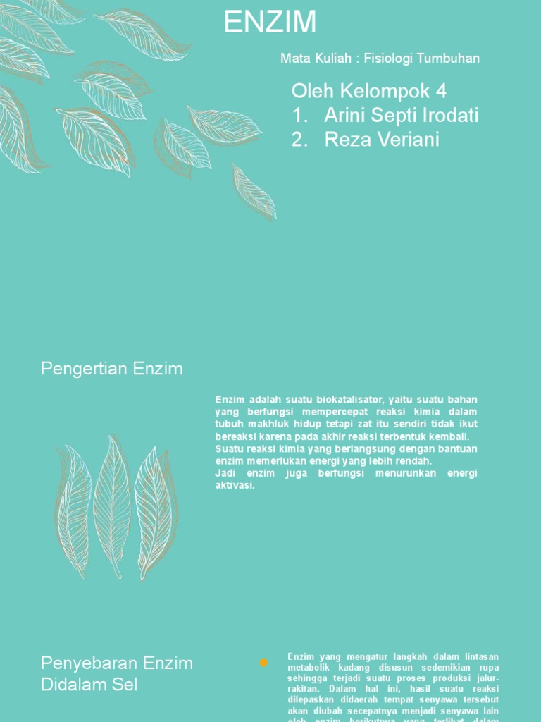 Fisiologi Tumbuhan (Enzim) | PDF