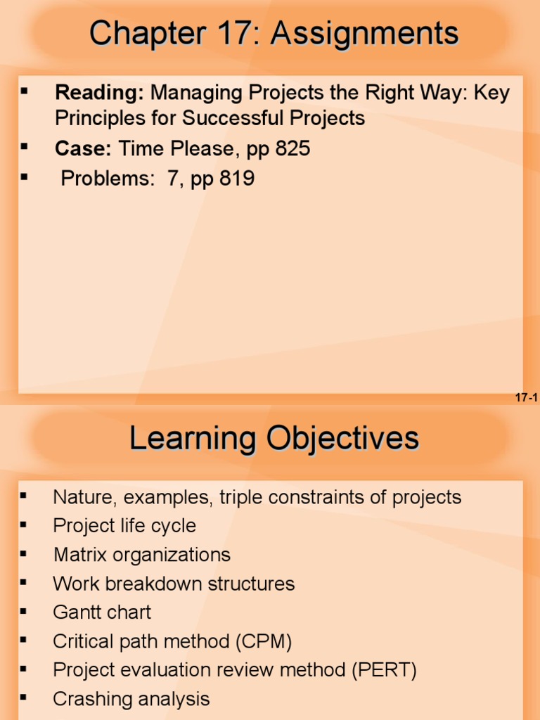 Chapter 17 Lecture Slides | PDF | Project Management | Business