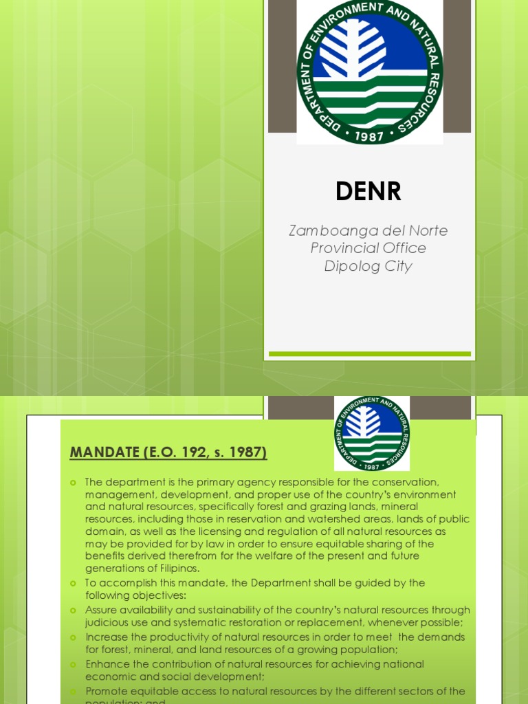 DENR OJT Manuscript | PDF