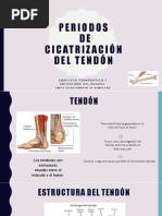 Test Adams | PDF | Escoliosis | Especialidades Medicas