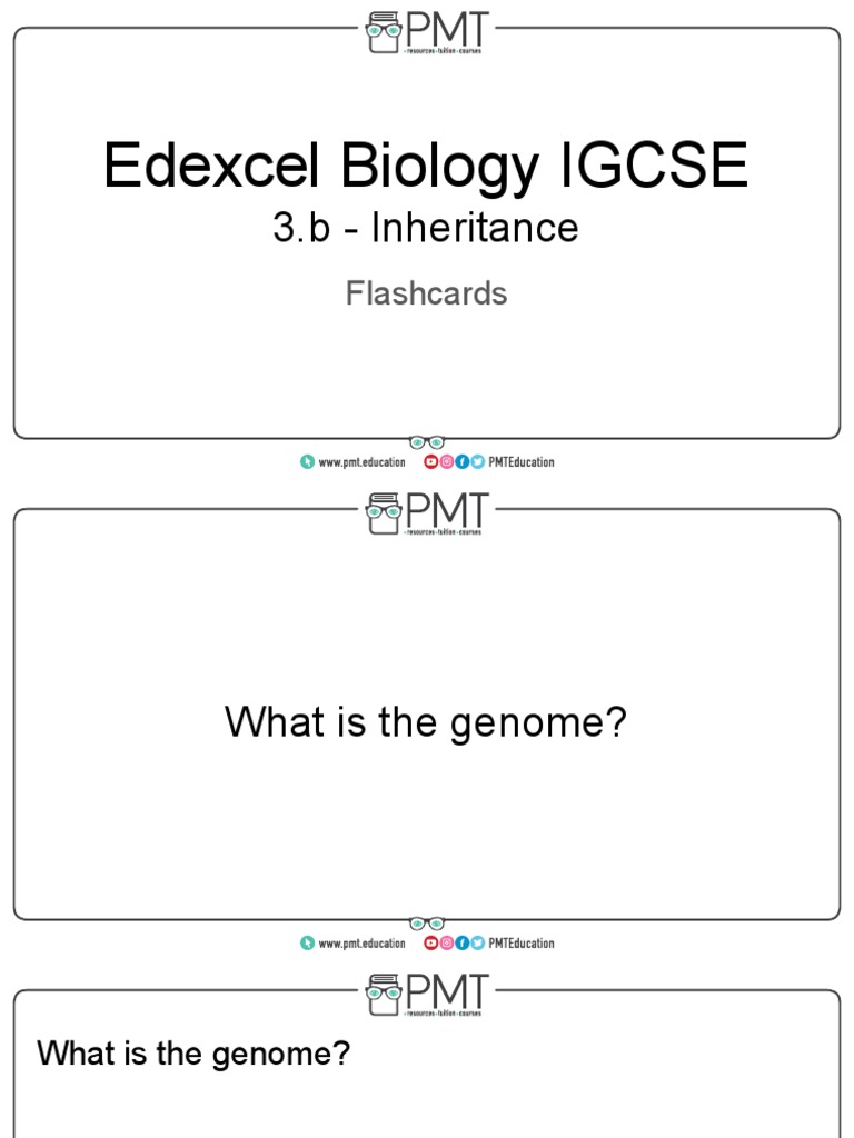 Flashcards - Inheritance - Edexcel Biology IGCSE Year 11 | PDF