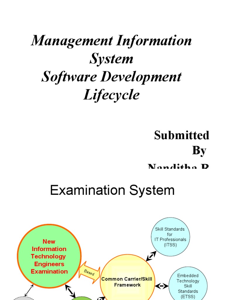 Management Information System Software Development Lifecycle | PDF ...