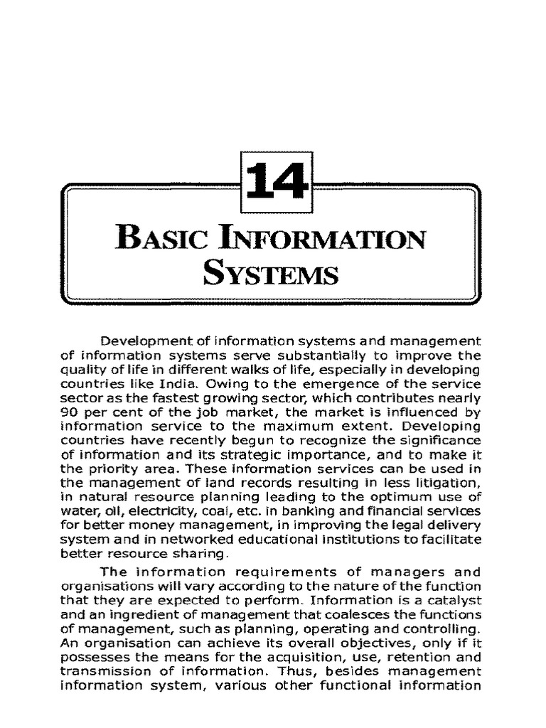 Basic Information Systems | PDF | Business