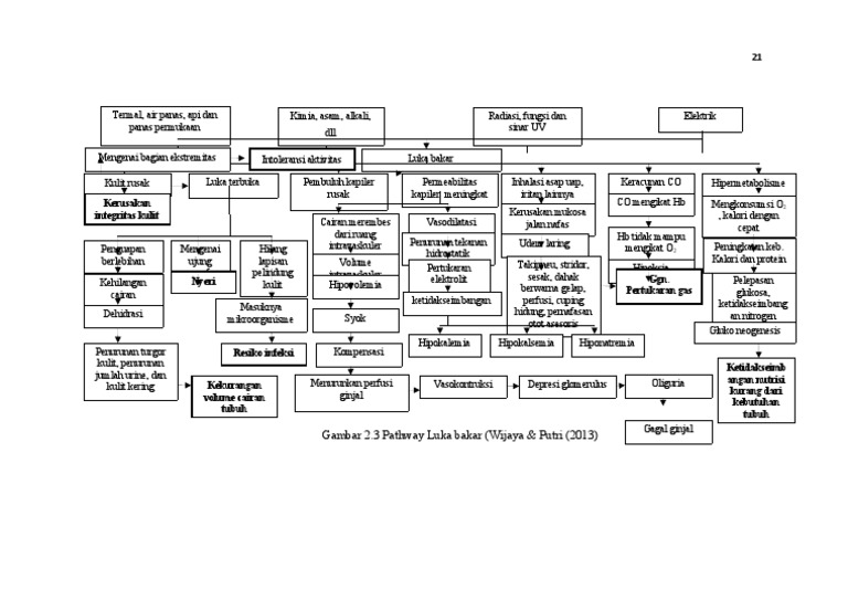 Pathway Luka Bakar | PDF
