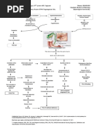 Pathophysiology - Pyelonephritis | PDF | Urinary Tract Infection ...