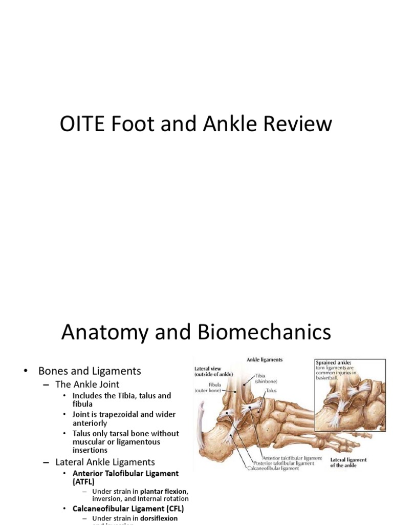 OITE FA Review | PDF