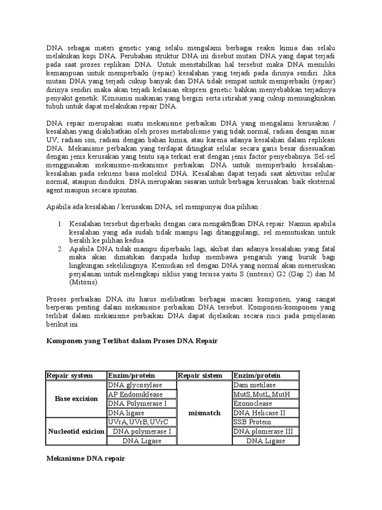 Dna Repair | PDF