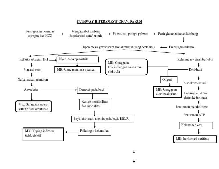 Pathway Hiperemesis Gravidarum | PDF