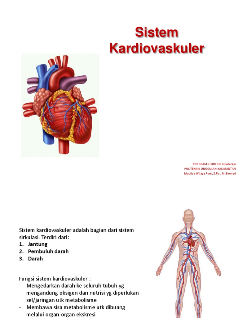 Pertemuan VIII - Anatomi Fisiologi Sistem Kardiovaskuler | PDF