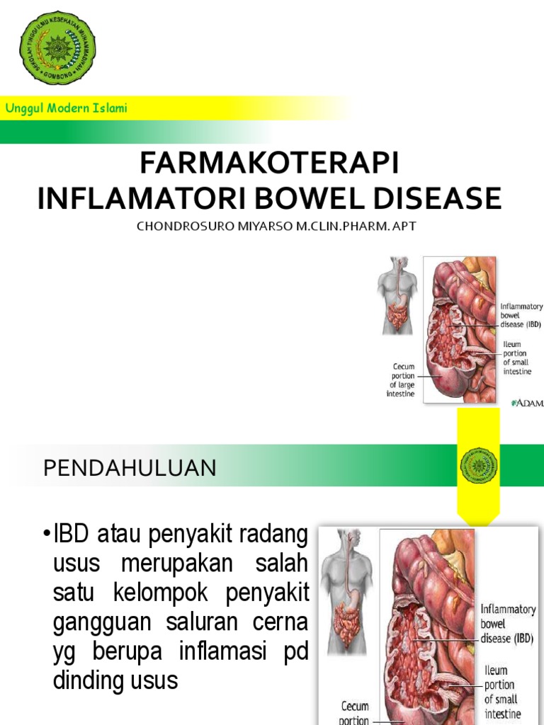 Farmakoterapi Ibd | PDF