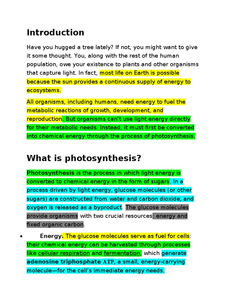 Photosynthesis | PDF | Home & Garden | Wellness