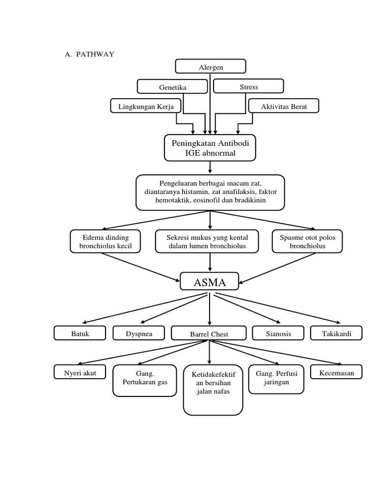 Pathway Asma dan Dyspnea pada Anak | PDF