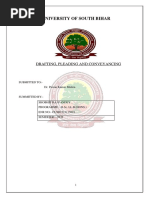 PIL Format | PDF | Writ | Supreme Courts