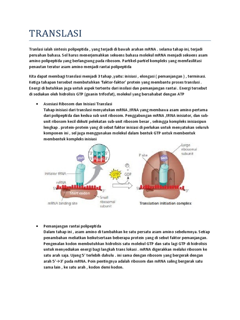 TRANSLASI | PDF