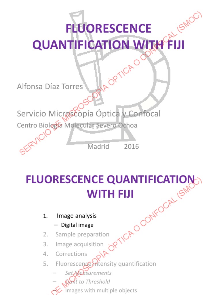 Fluorescence Quantification With FIJI PDF | PDF