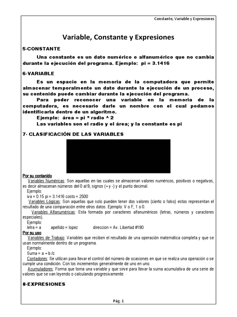 Variables y Constantes en Programación | PDF