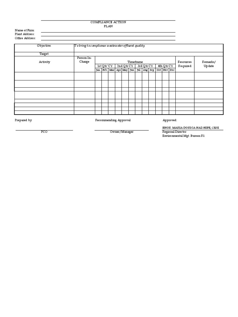 Compliance Action Plan Template | PDF