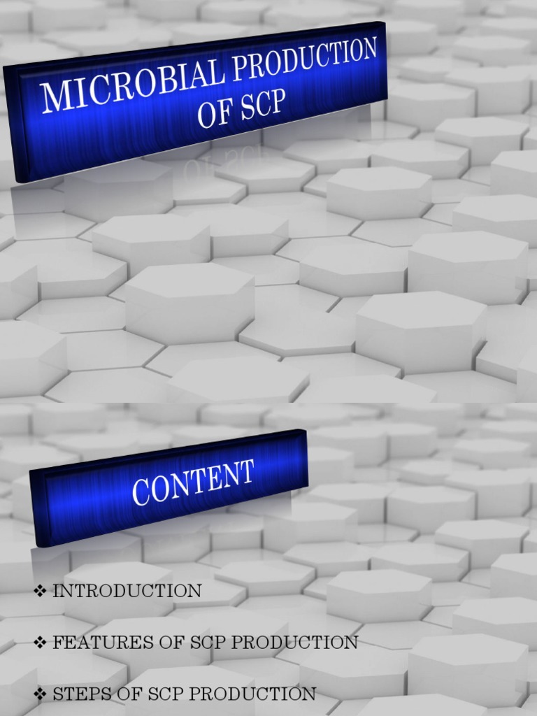 Single-Cell Protein Production Guide | PDF