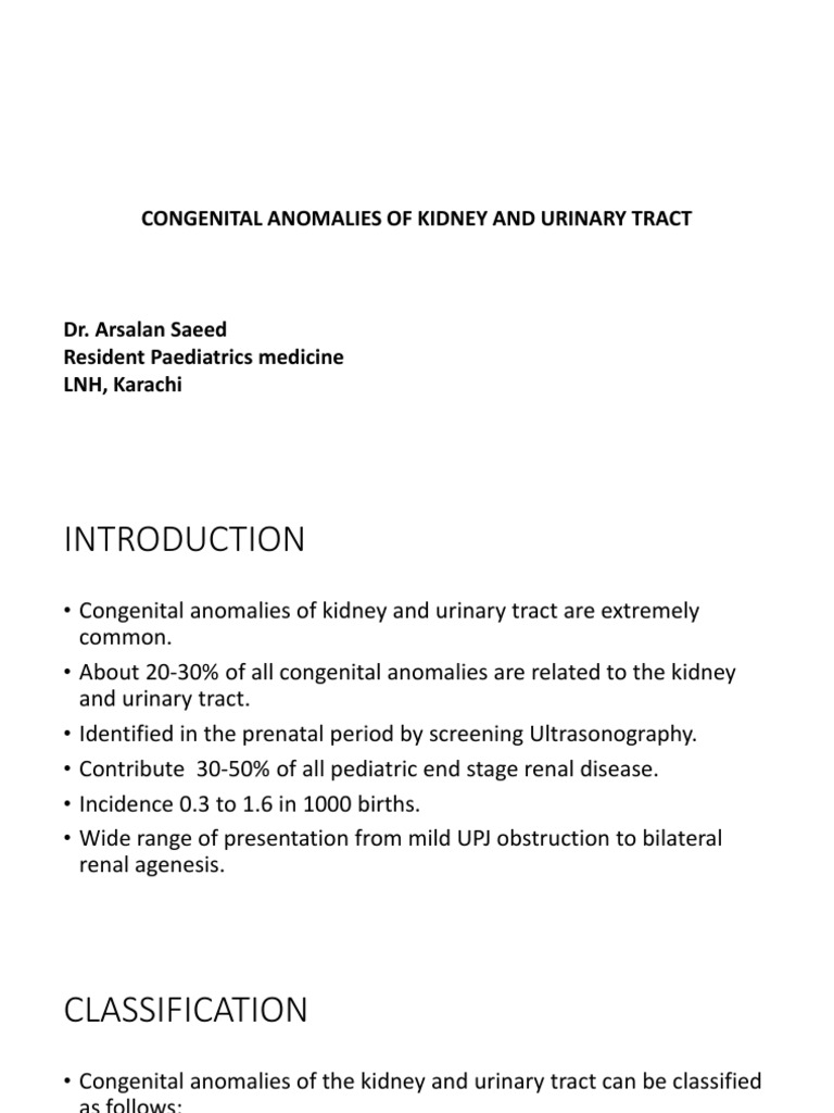 Congenital Kidney & Urinary Tract Anomalies | PDF | Kidney | Organ ...