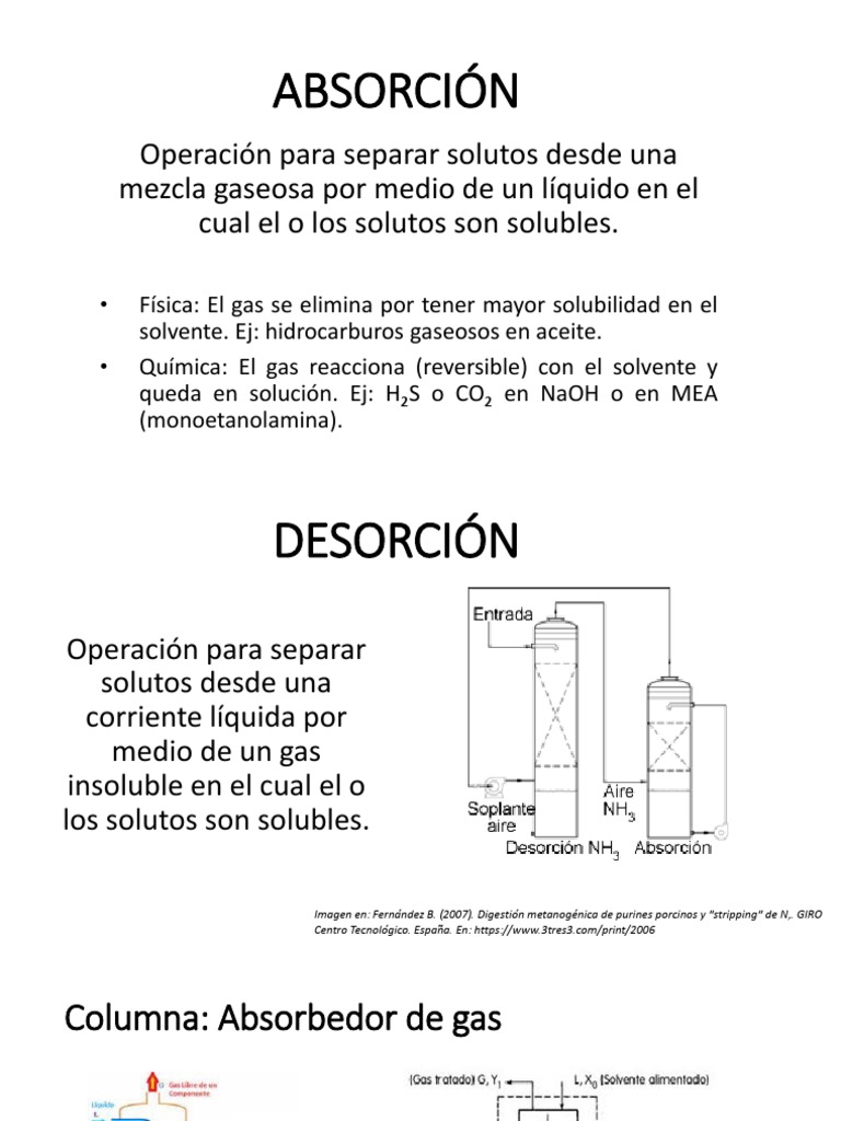 Absorción y Desorción de Gases | PDF | Absorción (Química) | Solubilidad