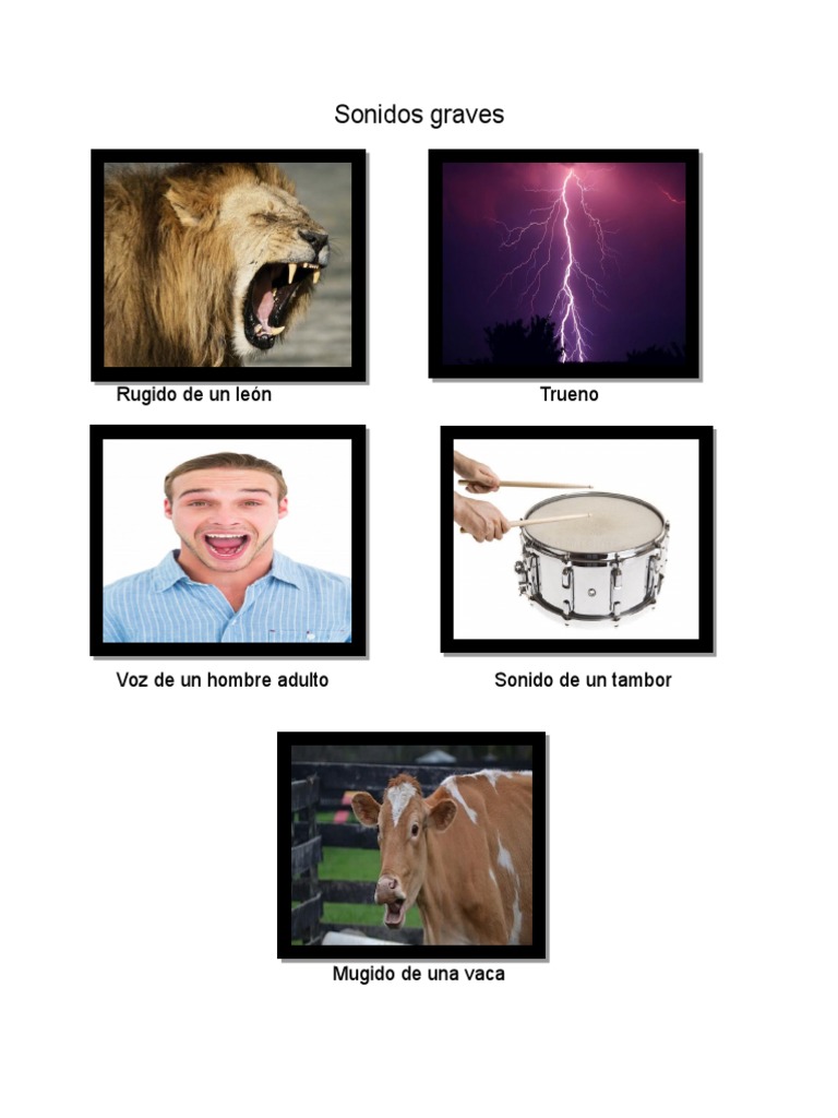 Sonidos: Graves y Agudos | PDF