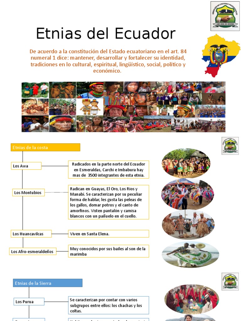 Etnias Del Ecuador | PDF | Ecuador | Grupos étnicos