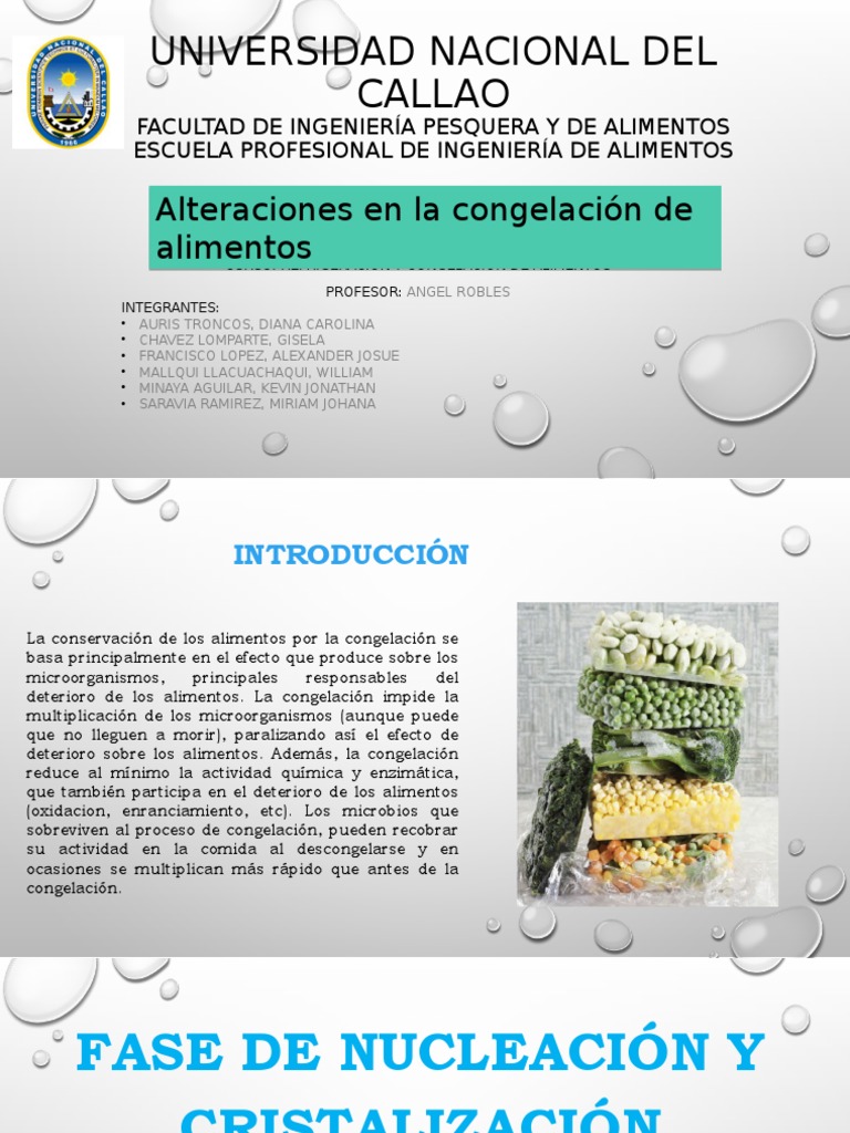 Alteraciones en Congelación de Alimentos | PDF | Nucleación | Hielo