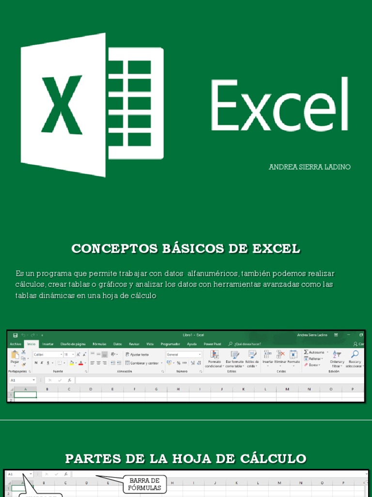 Manejo de Datos | PDF | Microsoft Excel | Hoja de cálculo