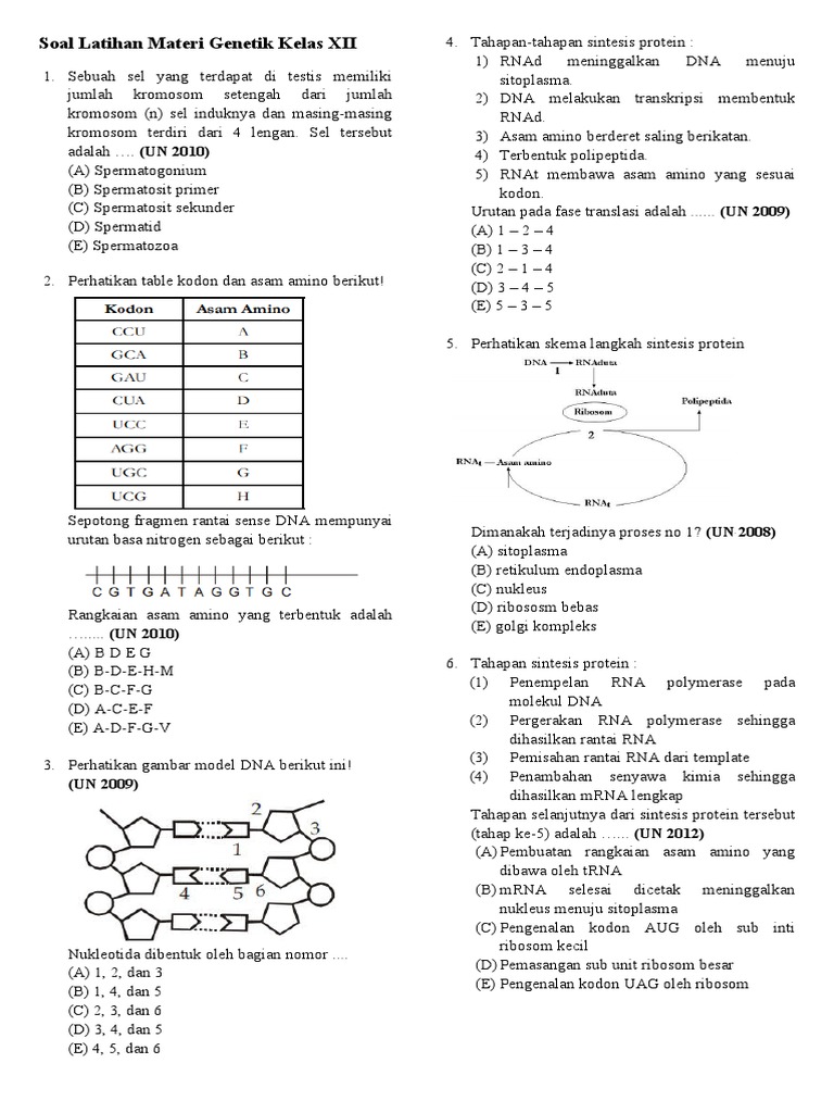 Kumpulan Soal UN Kelas XII BAB Materi Genetik | PDF