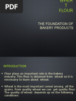 Noodle Manufacturing Process Overview | PDF | Noodle | Chemistry