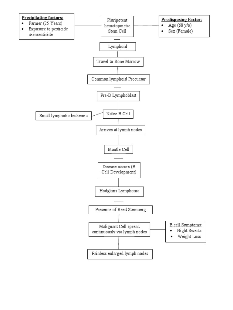 Hodgkin Lymphoma Pathophysiology Overview | PDF