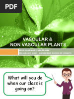 Grade 6 - Classification of Plants | PDF