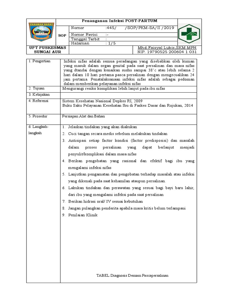 Penanganan Infeksi Post Partum | PDF