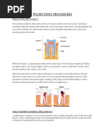 Sample Nebdn Paper May 2019 Final | PDF