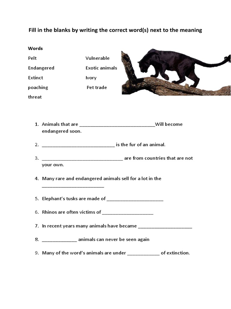 Animal Fill in The Blanks by Writing The Correct Word | PDF | Ivory ...