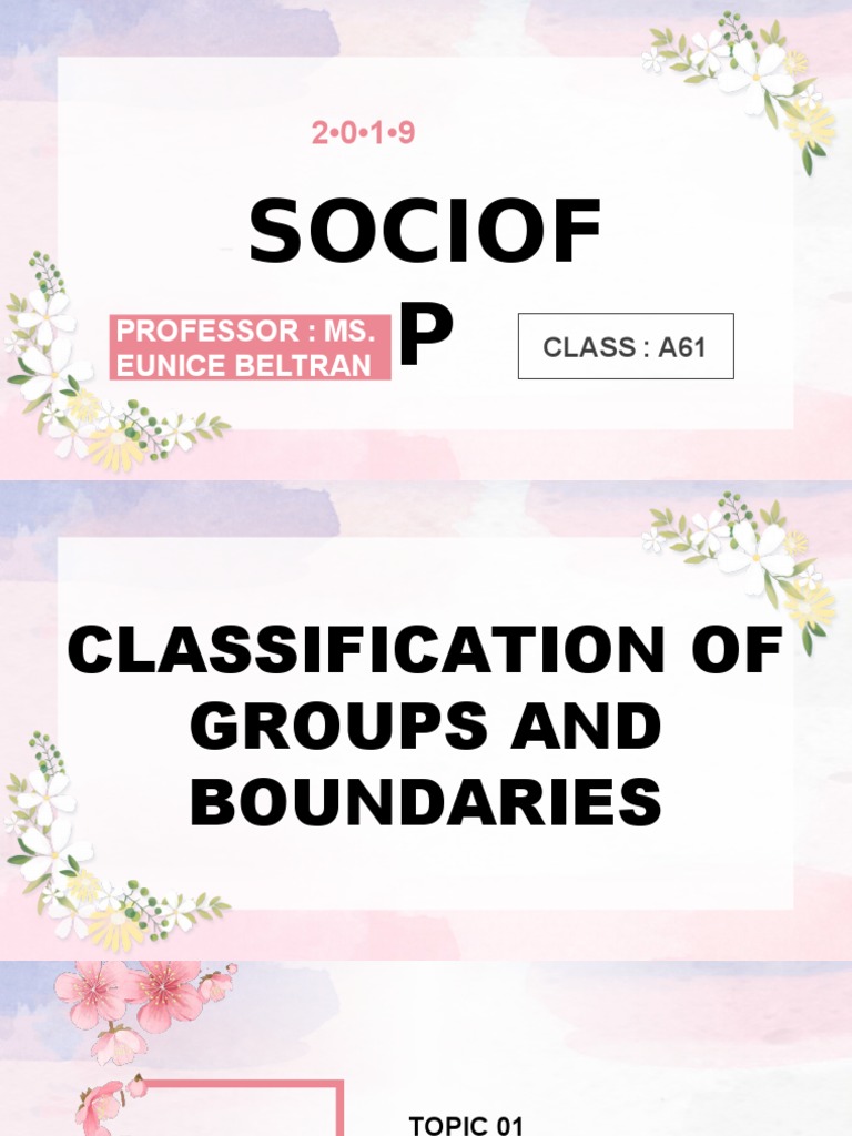 Sociology: Classification of Groups and Boundaries | PDF | Social Group ...