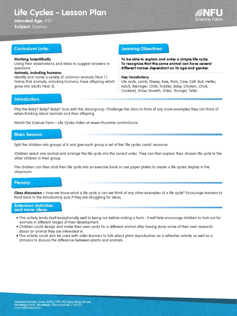 Lesson Plan .Life Cycle | PDF | Sheep | Cattle