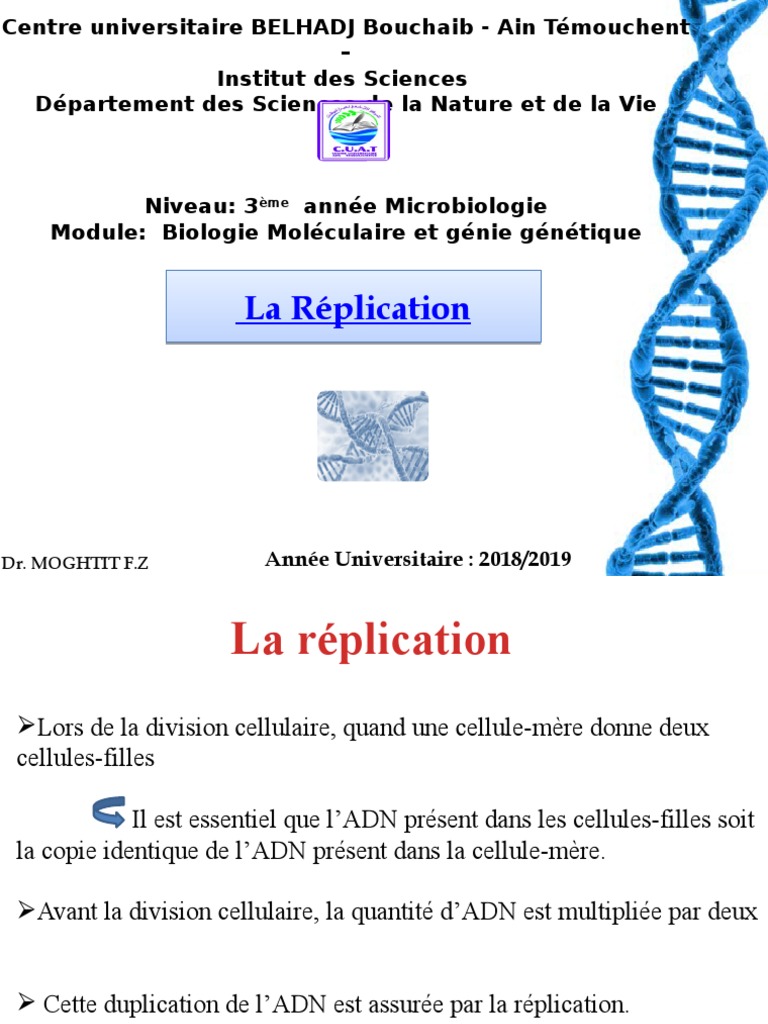 3 La Réplication Pdf Réplication De L Adn Génétique Moléculaire