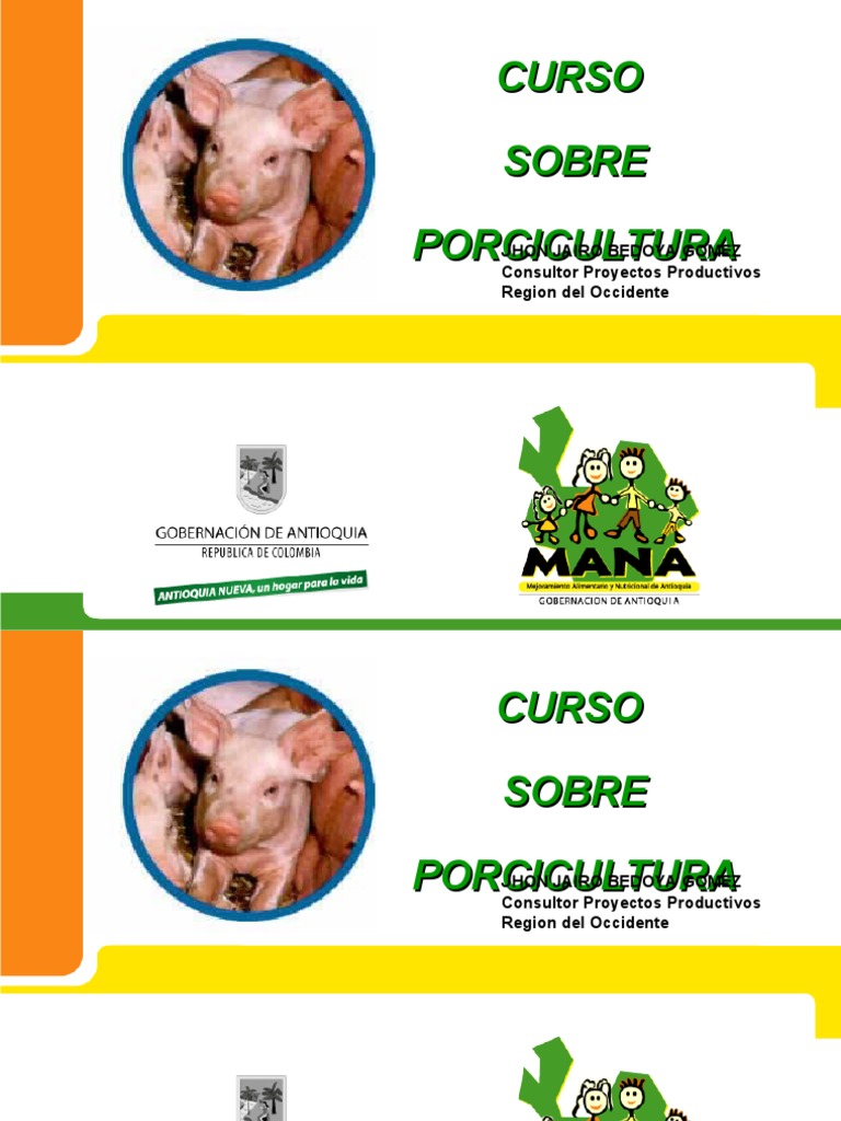 Curso de Porcicultura | PDF | Cerdo doméstico | Carne