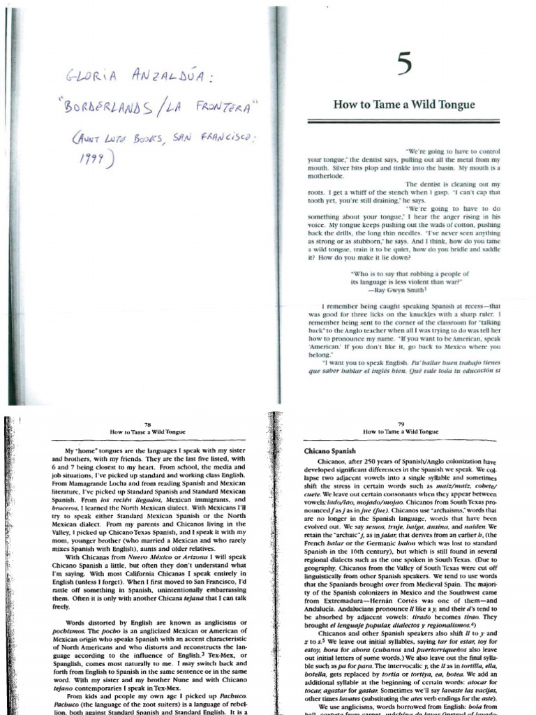 Anzaldua - Borderlands/La Frontera - Chapter 5 "How To Tame A Wild ...