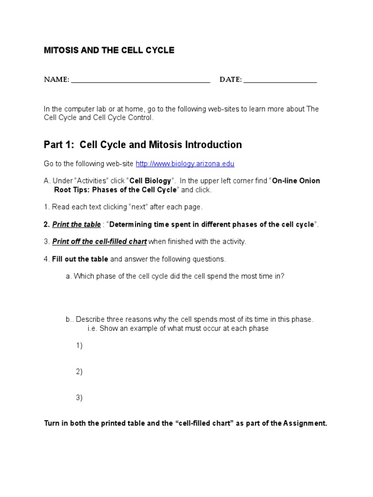 Mitosis and The Cell Cycle | PDF | Cell Cycle | Apoptosis