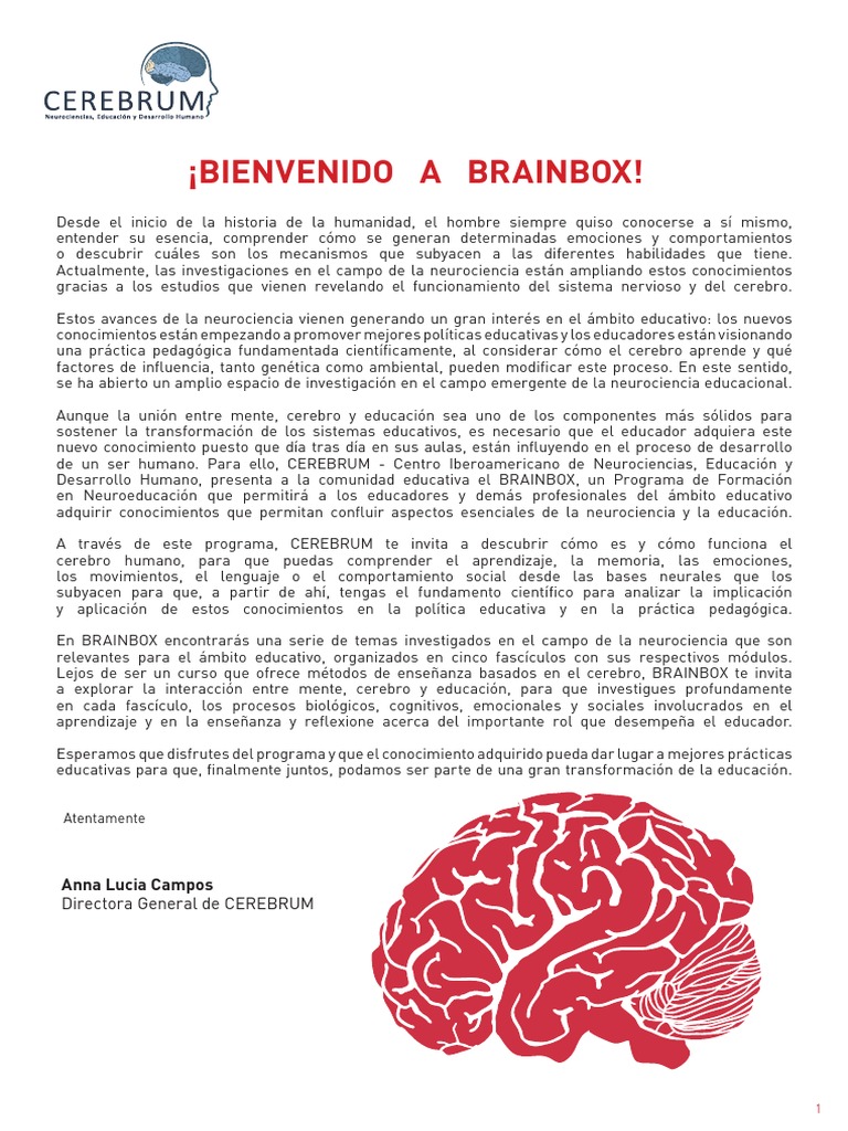 Brainbox 1 PDF | PDF | Cerebro | Neurociencia