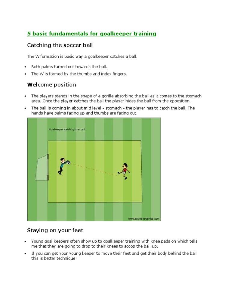 5 Basic Fundamentals For Goalkeeper Training PDF | PDF | Hand | Leisure