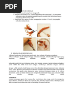 Handout Materi Garnish | PDF